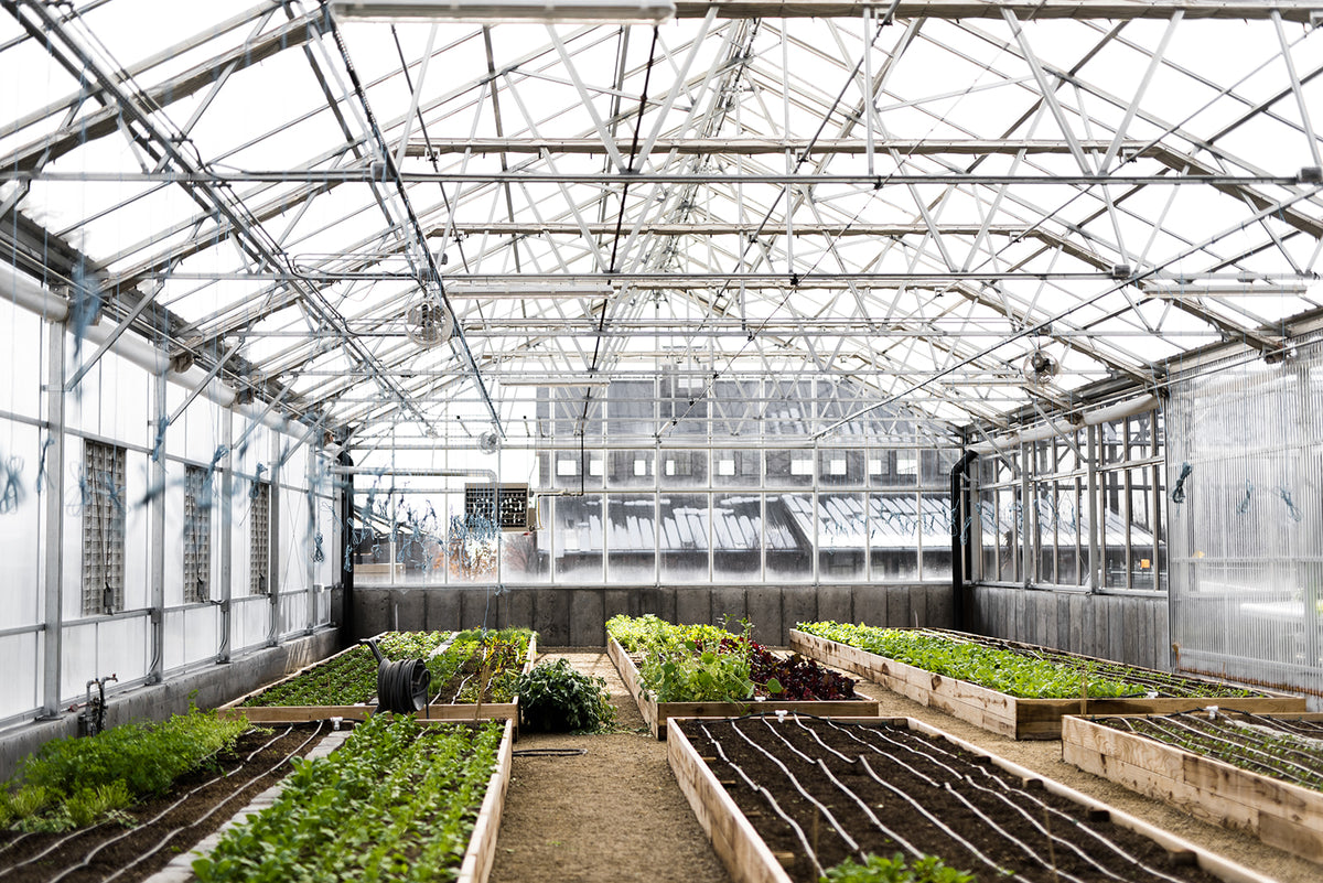 Where to go next – Snuck Farm