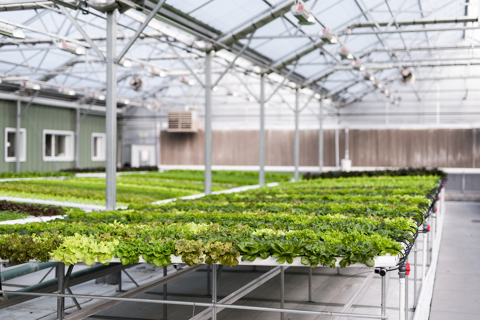 Not your typical farm – Snuck Farm