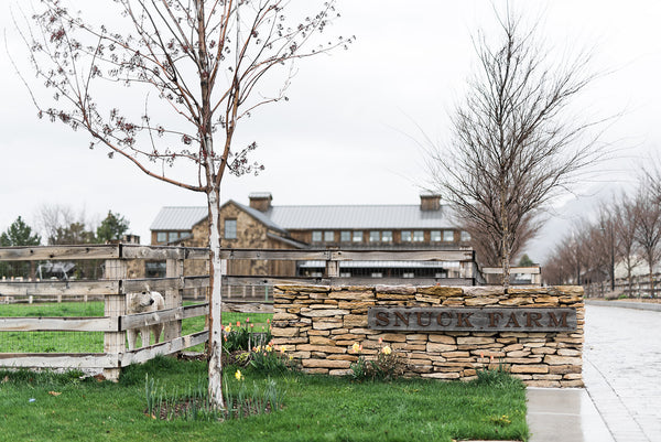 Snuck Shares Week #42, 2021 – Snuck Farm