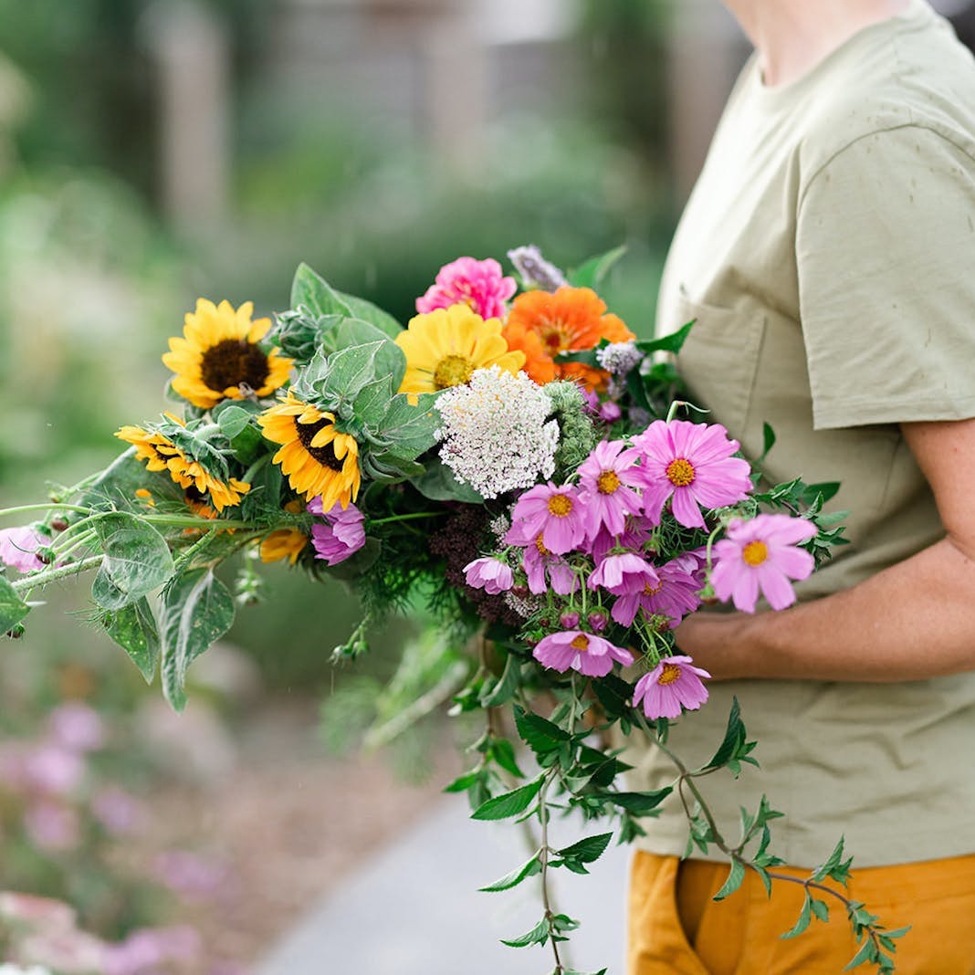 Making space – Snuck Farm