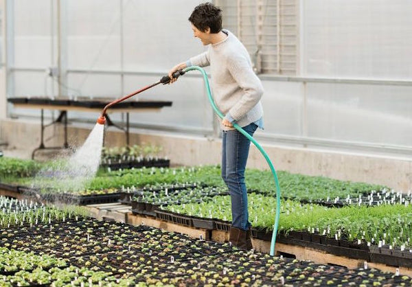 Digging in the dirt – Snuck Farm