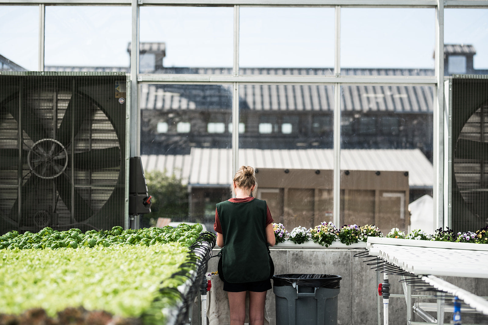 Frequently Asked Questions – Snuck Farm