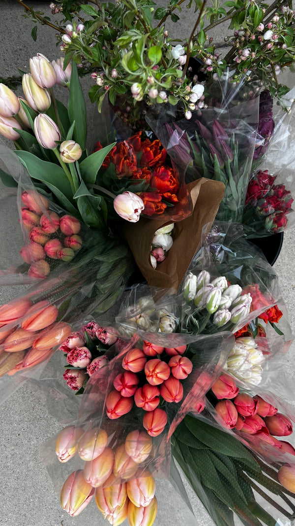 Seasonal Floral Experience: Spring Edition 2024 – Snuck Farm