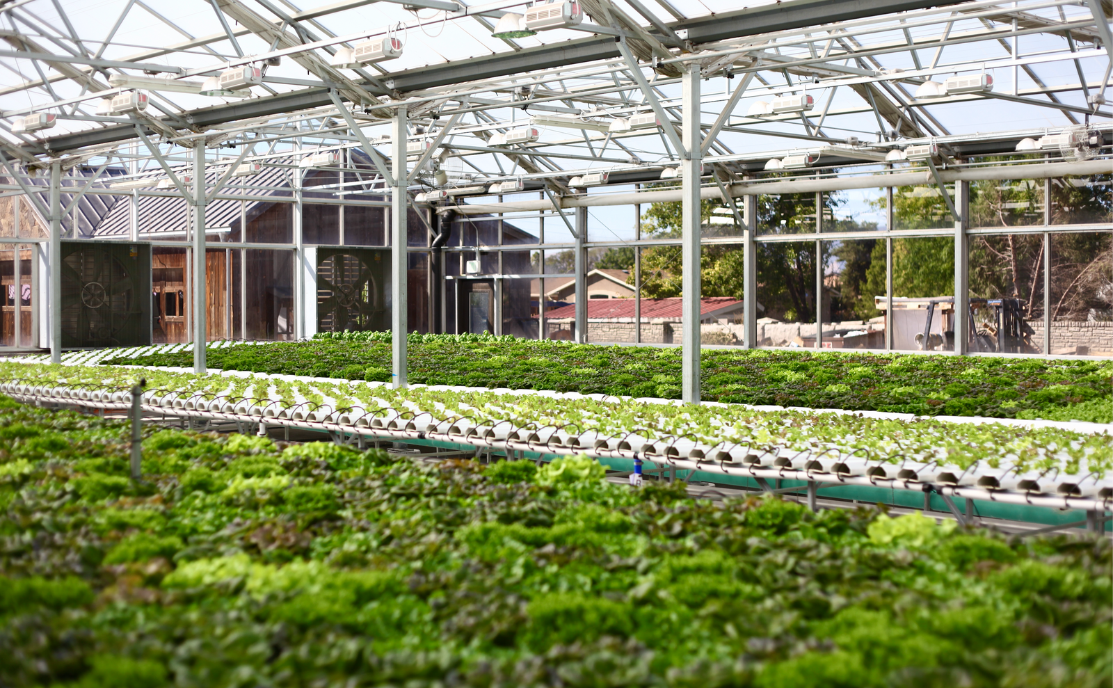 How We Grow – Snuck Farm